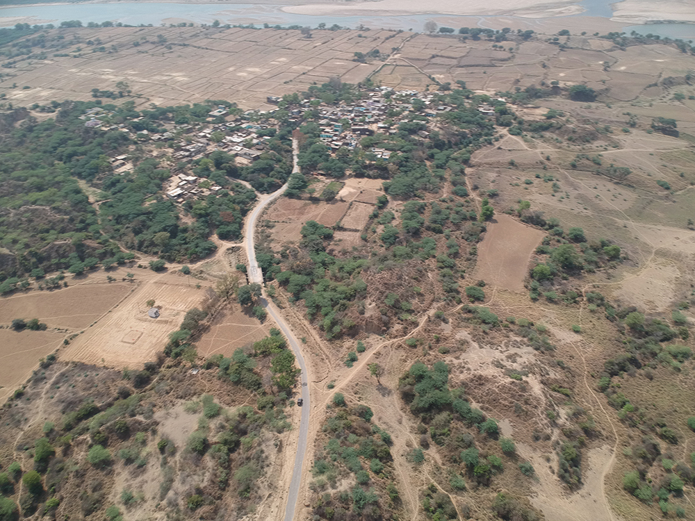 Tracing the Great Salt Hedge — Aisling O'Carroll